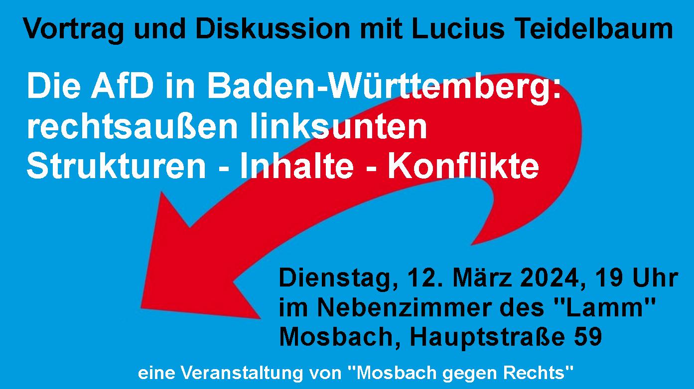 Die AfD in Baden-Württemberg - NOKZEIT